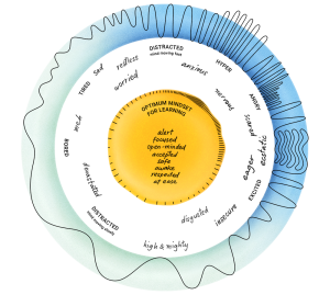 Mindset Maps - ROD PARIS
